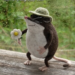 Water Shrew, Water Mouse, Mouse With Flower, Smiling Mouse, Needle ...