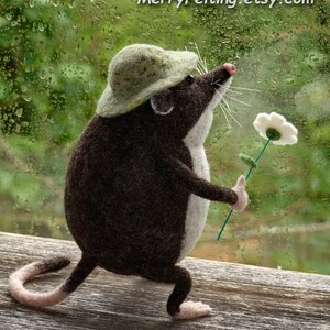 Water Shrew, Water Mouse, Mouse With Flower, Smiling Mouse, Needle ...
