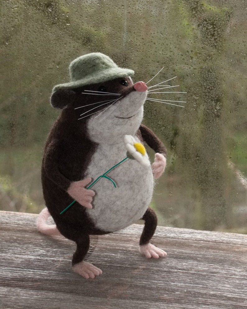 Water Shrew, Water Mouse, Mouse With Flower, Smiling Mouse, Needle ...