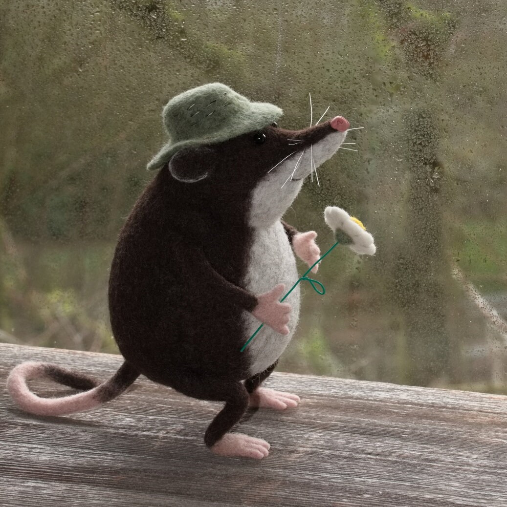 Water Shrew, Water Mouse, Mouse With Flower, Smiling Mouse, Needle ...