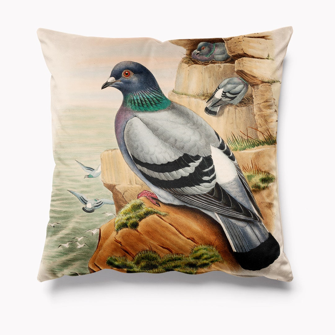 Pigeon Bird VELVET Cushion 45cm X 45cm Cushions Pillows - Etsy