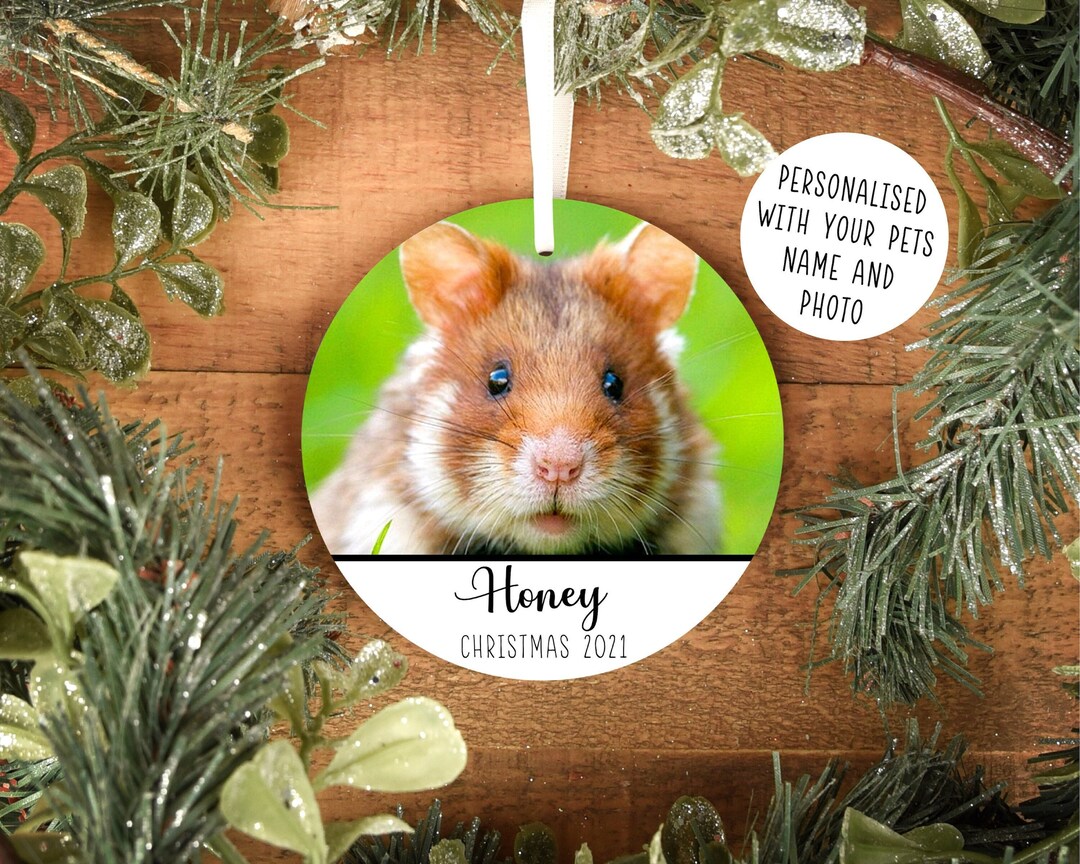 Hamster Christmas Tree Decoration, Personalised Gerbil Christmas Bauble ...