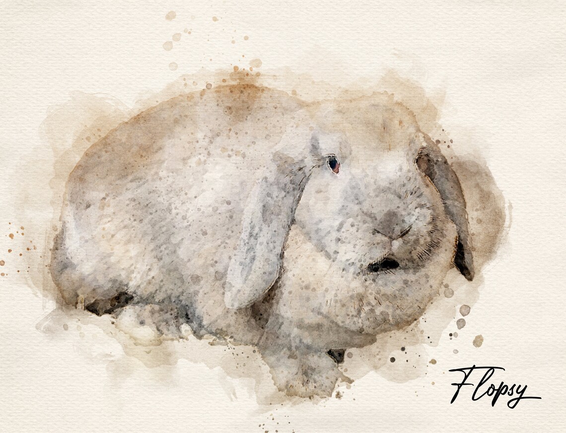 Custom Rabbit Watercolour Portrait Rabbit Gifts Rabbit | Etsy UK
