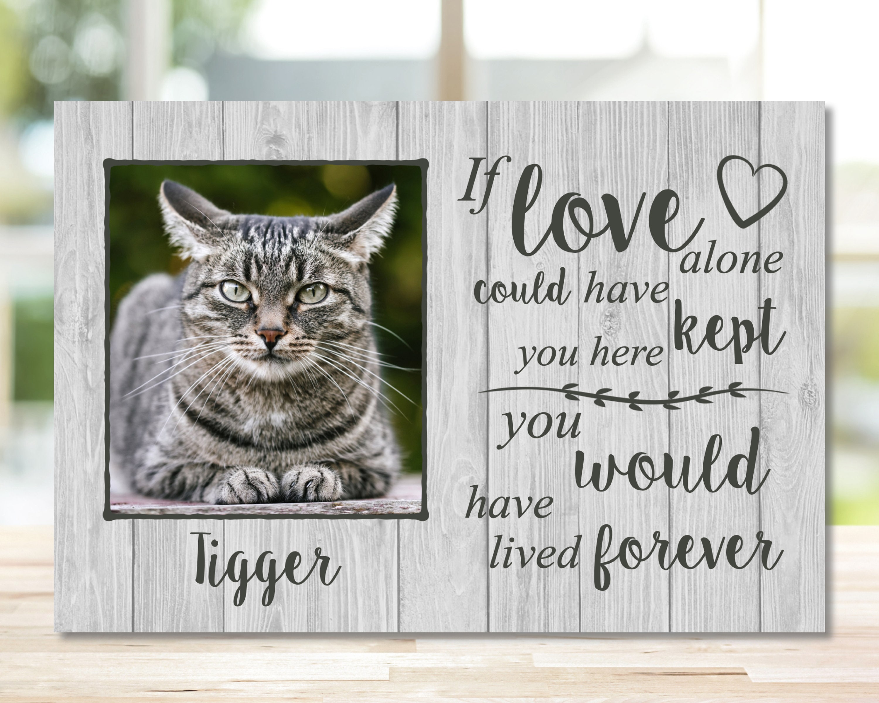 Cat Memorial Frame Cat Memorial Gift Cat Memorial Cat | Etsy