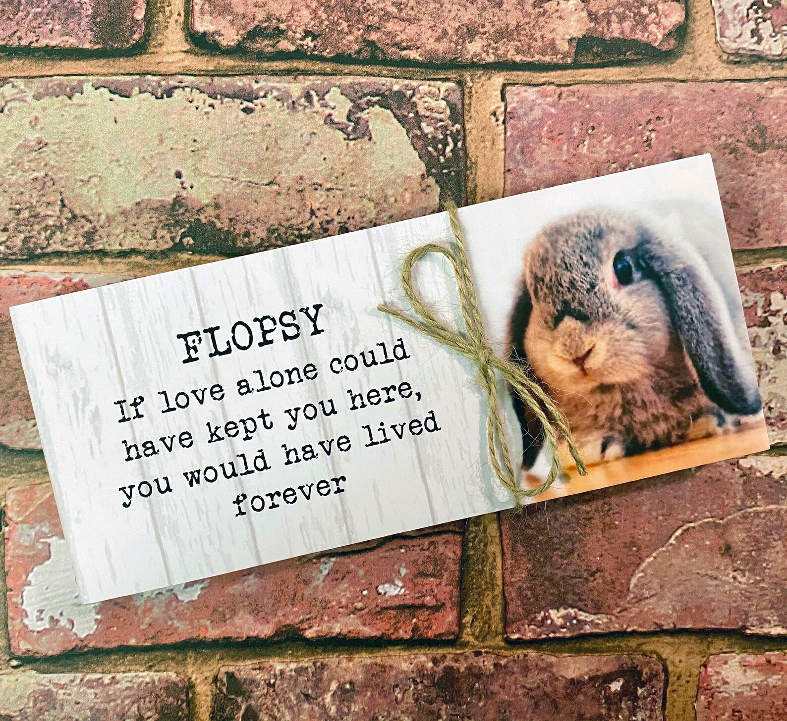 Rabbit Memorial Gift,pet Memorial Frame, Memorial Gift, Rabbit Memorial ...
