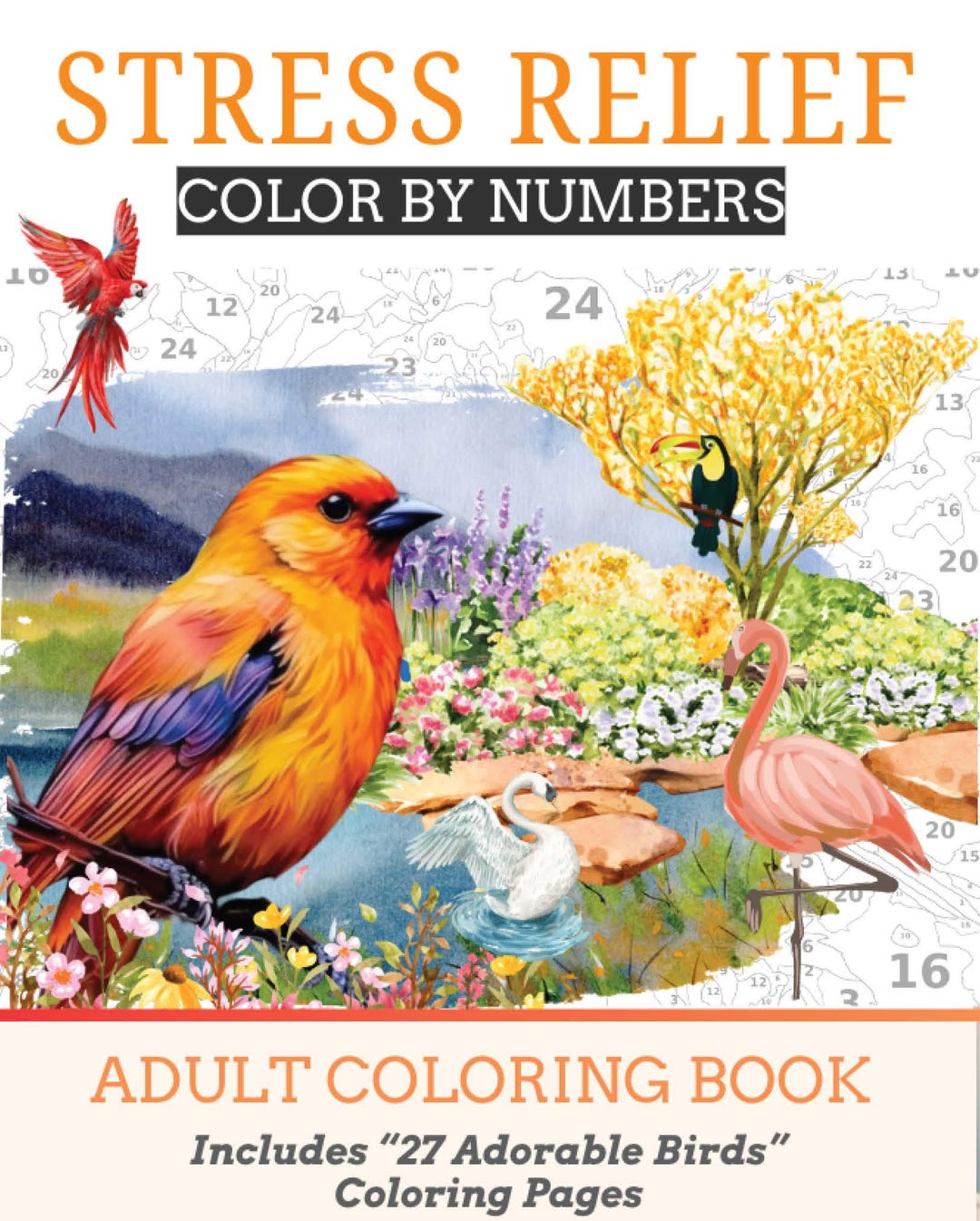 Bird-themed Coloring Book, Featuring a Wide Variety of Birds - Etsy