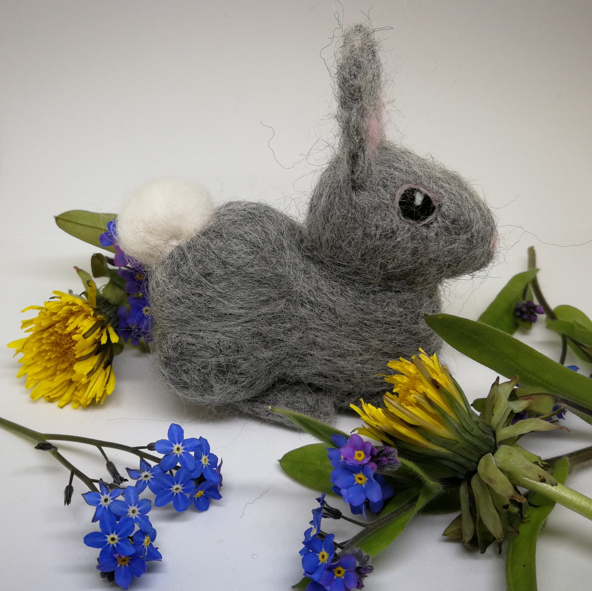Needle Felting Kit Rabbits Natural Colours - Etsy