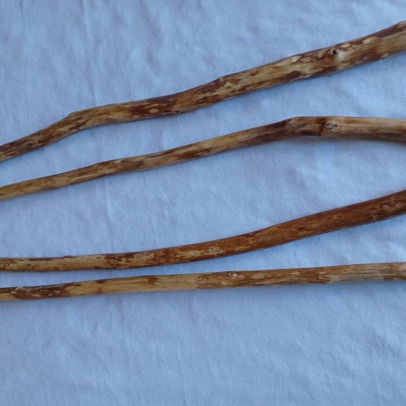 Alder Branches - Etsy