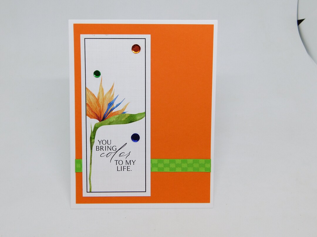 Thank You Card. You Bring Color to My Life. Thank You for Your Kindness ...