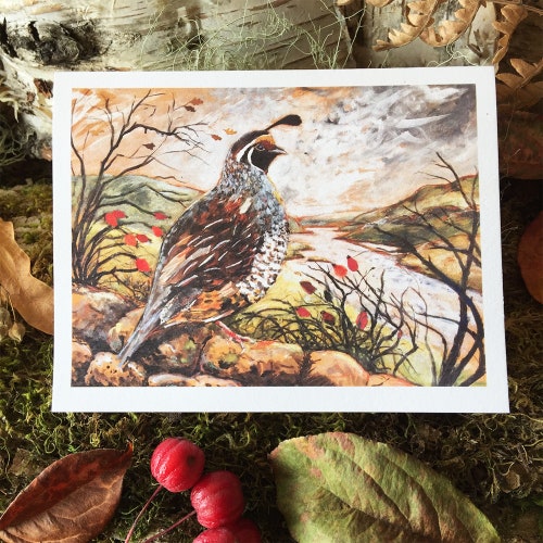 California Quail Pen and Ink Drawing Printable California | Etsy