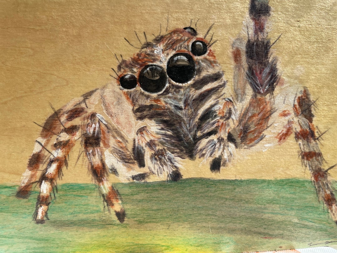 Jumping Spider Waving Small Print - Etsy