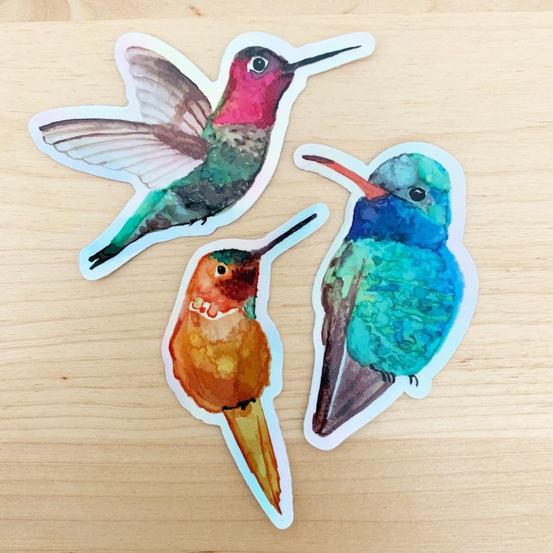 Hummingbird Sticker rainbow bird Sticker holographic - Etsy España