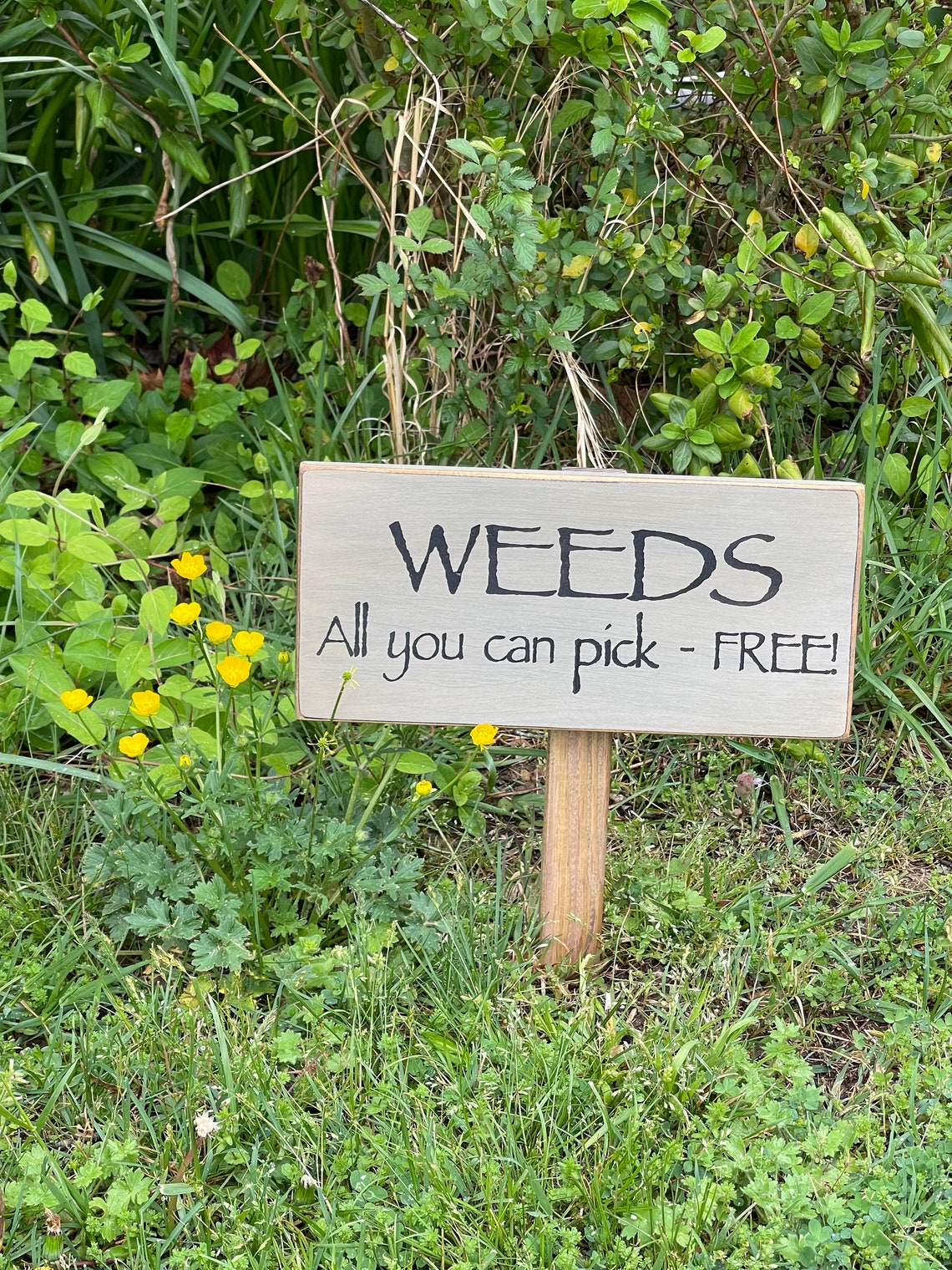 Garden Signs Various Sayings and Display Options - Etsy