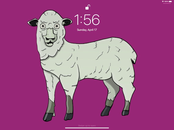 Crazy Sheep Digital Wallpaper | Etsy
