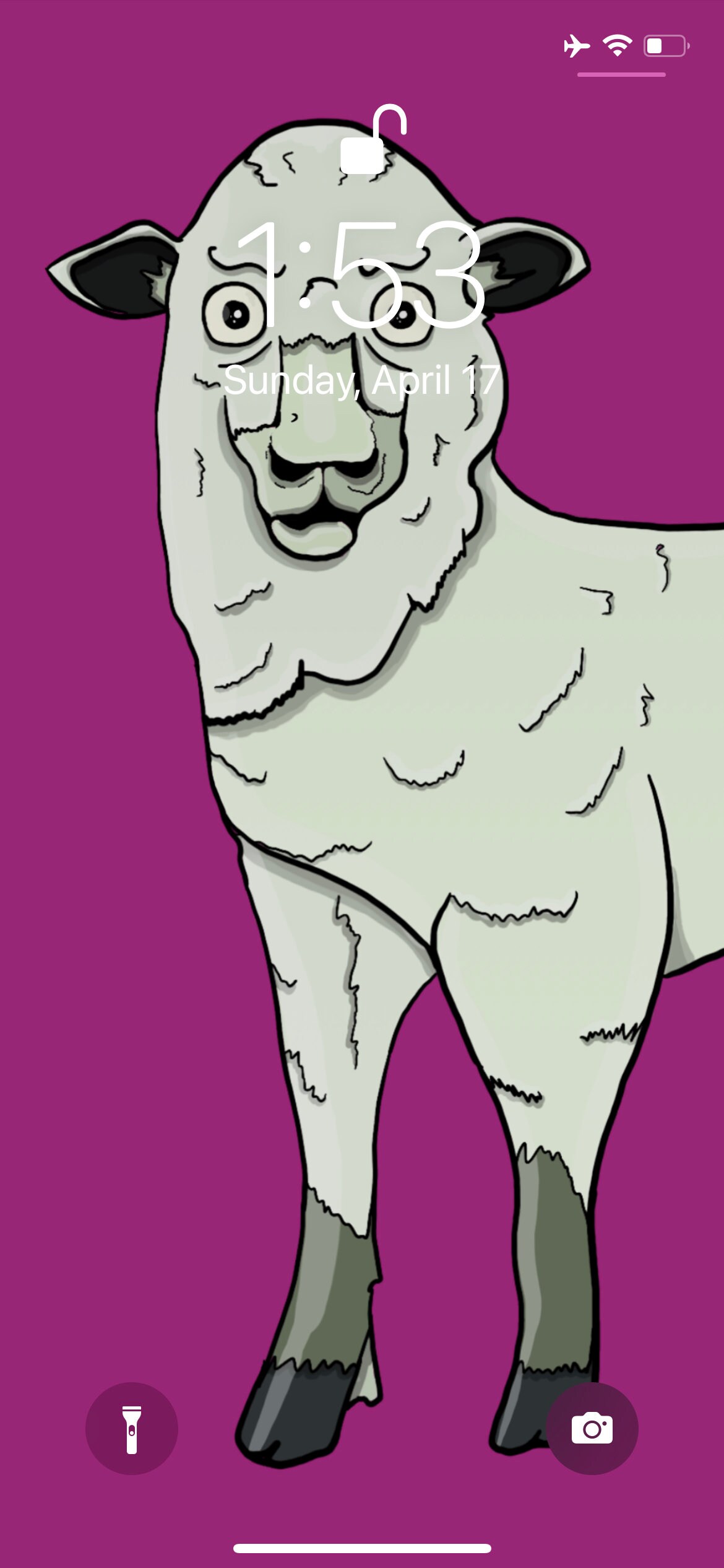 Crazy Sheep Digital Wallpaper - Etsy