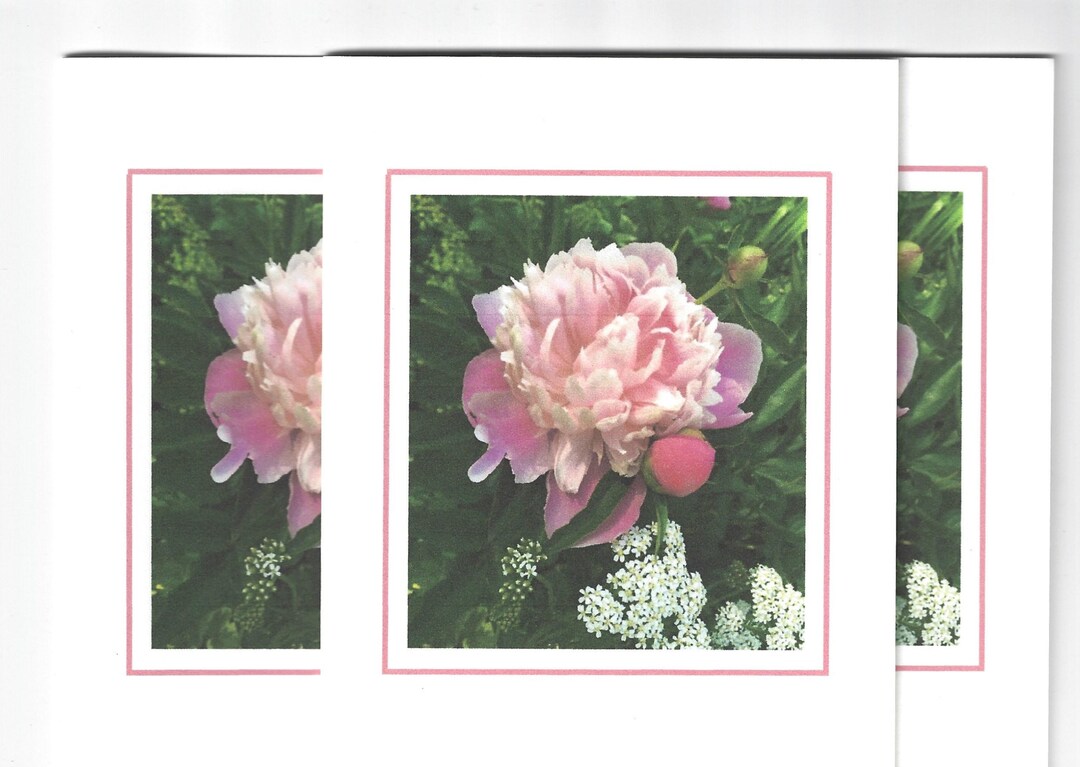 Note Cards - ‘peony’ - Handmade by Artist From Original Photo Taken in ...
