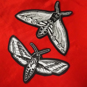 Moth Patches - Insect Patch, Bug Patch, Animal, Butterfly, Goth Patch ...