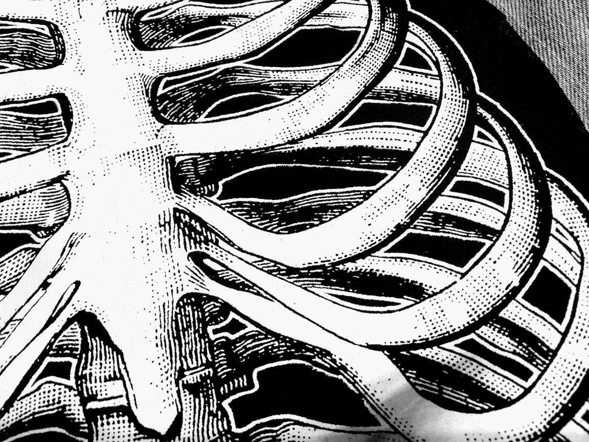 Rib Cage Back Patch Bones Patch Skeleton Back Patch Large - Etsy UK