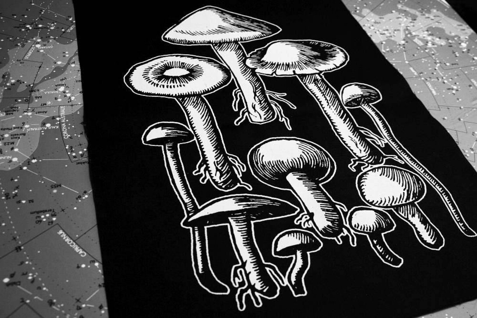 Mushrooms Back Patch Witchy Patch Goth Back Patch Dark - Etsy Australia