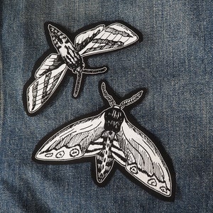 Moth Patches - Insect Patch, Bug Patch, Animal, Butterfly, Goth Patch ...