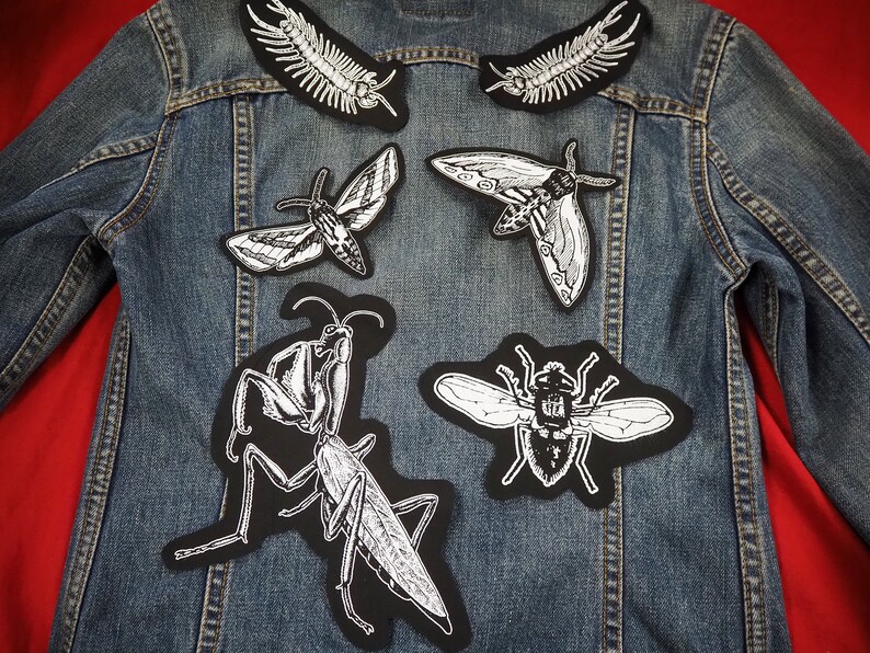 Insects Patch Set: Screen Printed Cotton Sew on Patches for Jacket ...