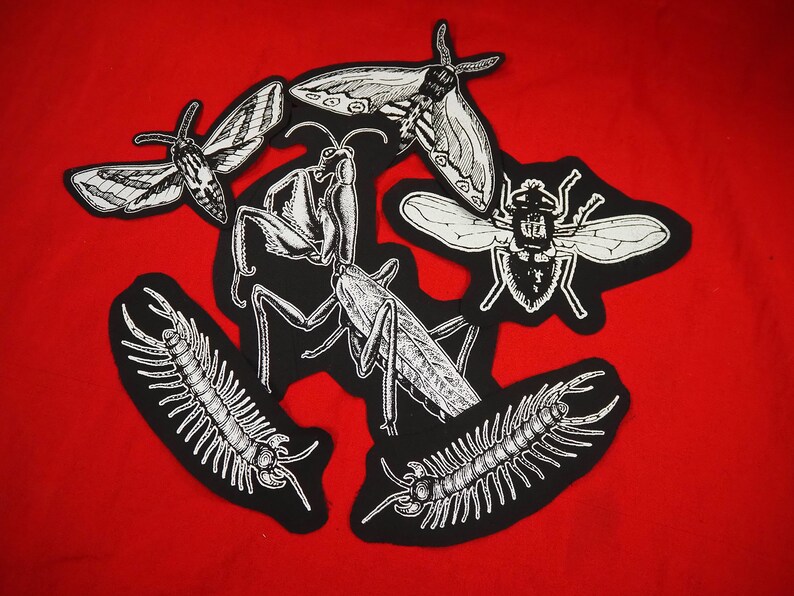 Insects Patch Set: Screen Printed Cotton Sew on Patches for Jacket ...