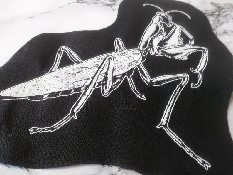 Praying Mantis Patch Insect Patch Nature Patch Crust Punky - Etsy UK