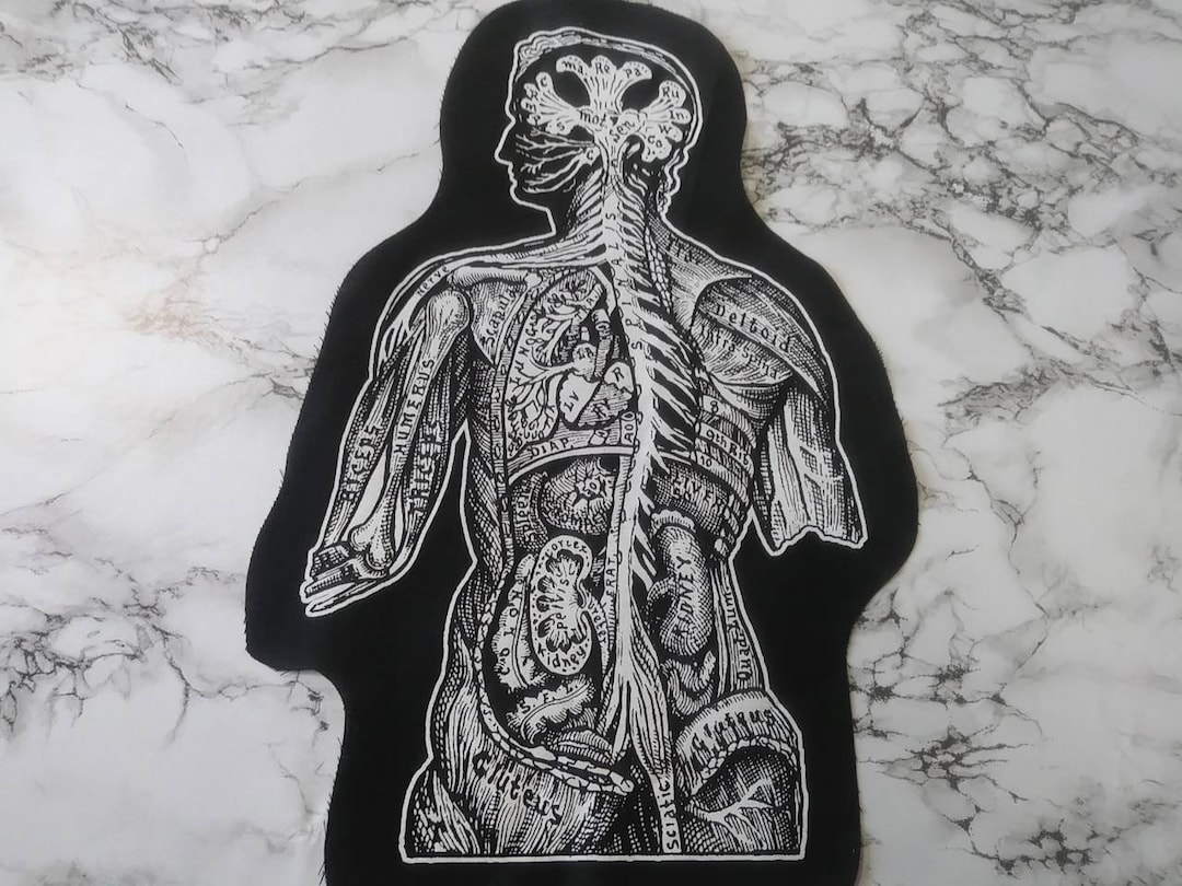 Anatomy Back Patch Vintage Medical, Skeleton Backpatch, Punk Patch ...