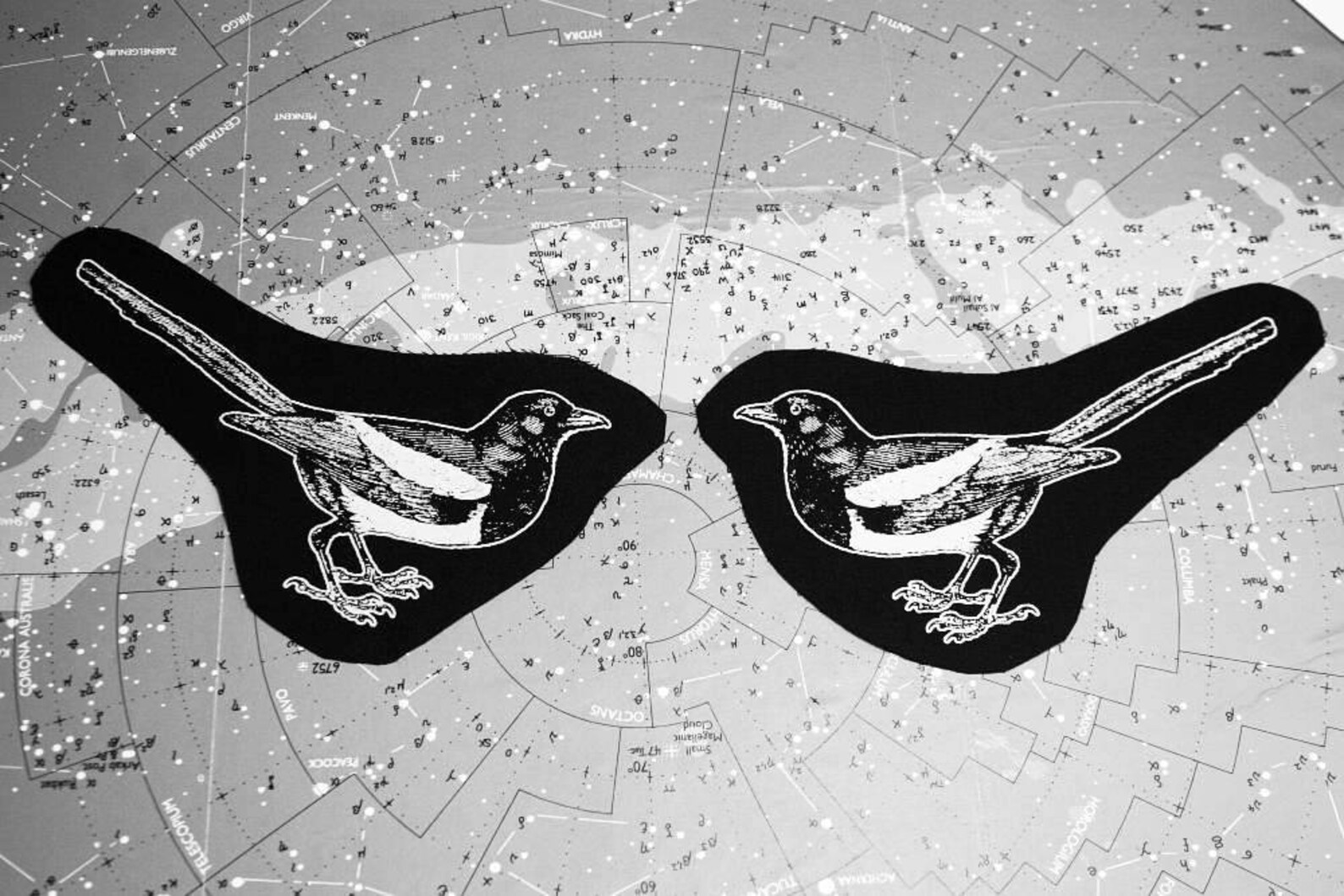 Magpie Patches Bird Patch Crow Raven Sew on Punk Patch - Etsy UK