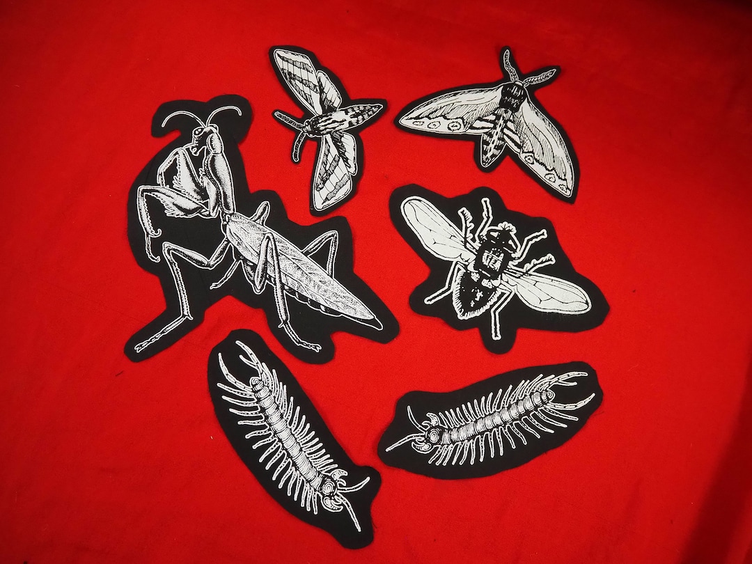 Insects Patch Set - 6 Patches - Bugs, Goblin Core Patch, Creepy, Nature ...