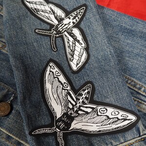 Moth Patches - Insect Patch, Bug Patch, Animal, Butterfly, Goth Patch ...