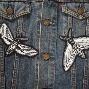 Moth Patches - Insect Patch, Bug Patch, Animal, Butterfly, Goth Patch ...