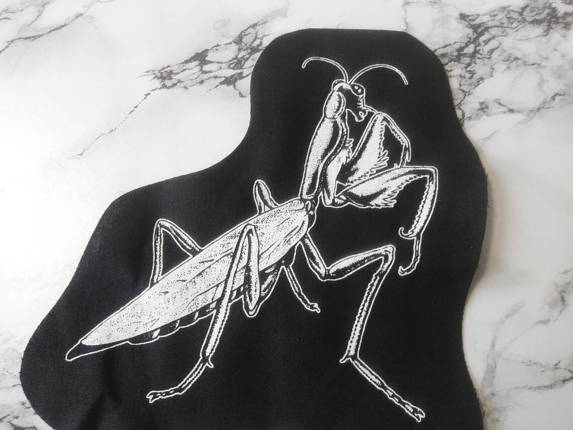 Praying Mantis Patch Insect Patch Nature Patch Crust Punky - Etsy UK