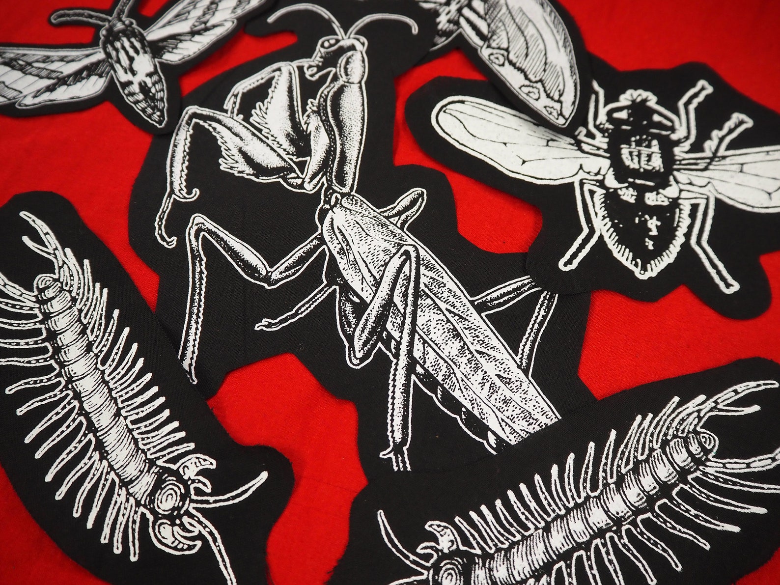 Insects Patch Set: Screen Printed Cotton Sew on Patches for Jacket ...