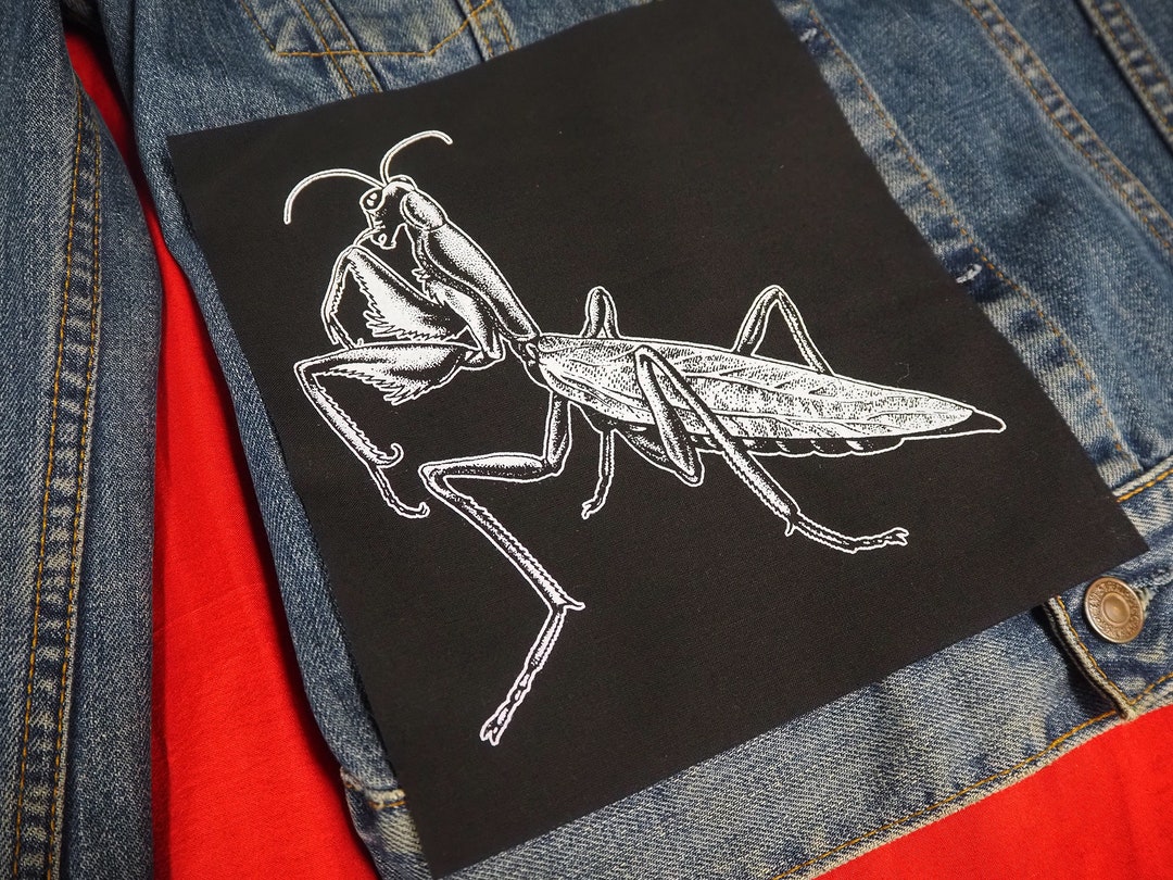 Praying Mantis Patch - Insect Patch, Nature Goblincore, Crust Punk, Horror Patch, Patches for ...