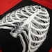 Rib Cage Back Patch Bones Patch, Skeleton Backpatch, Large Patch ...