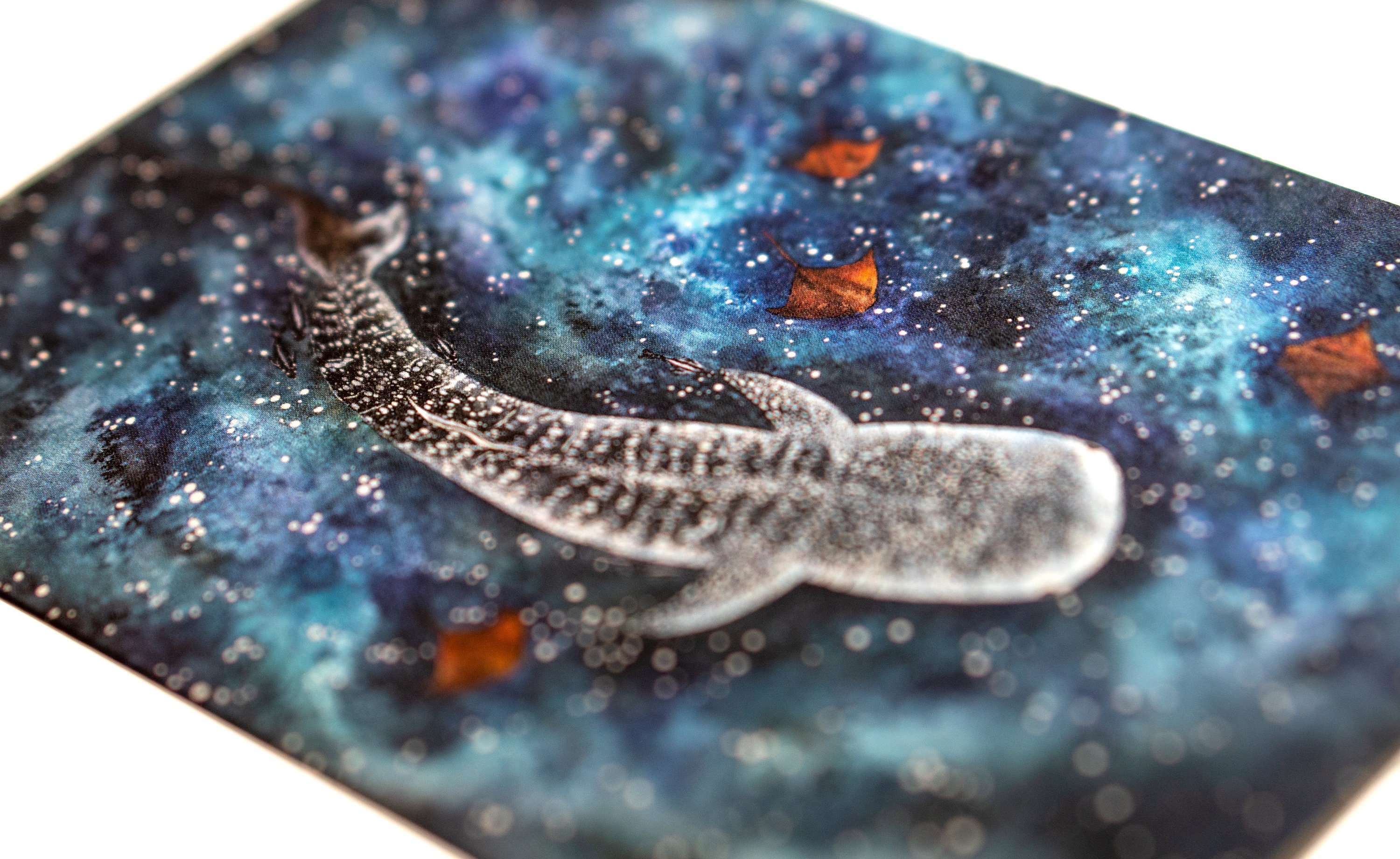 Whale Shark Watercolour Card - Etsy