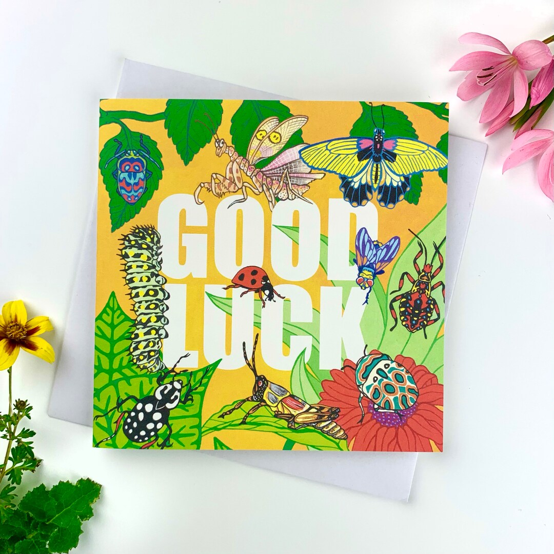 Illustrated Insects Good Luck Card - Etsy
