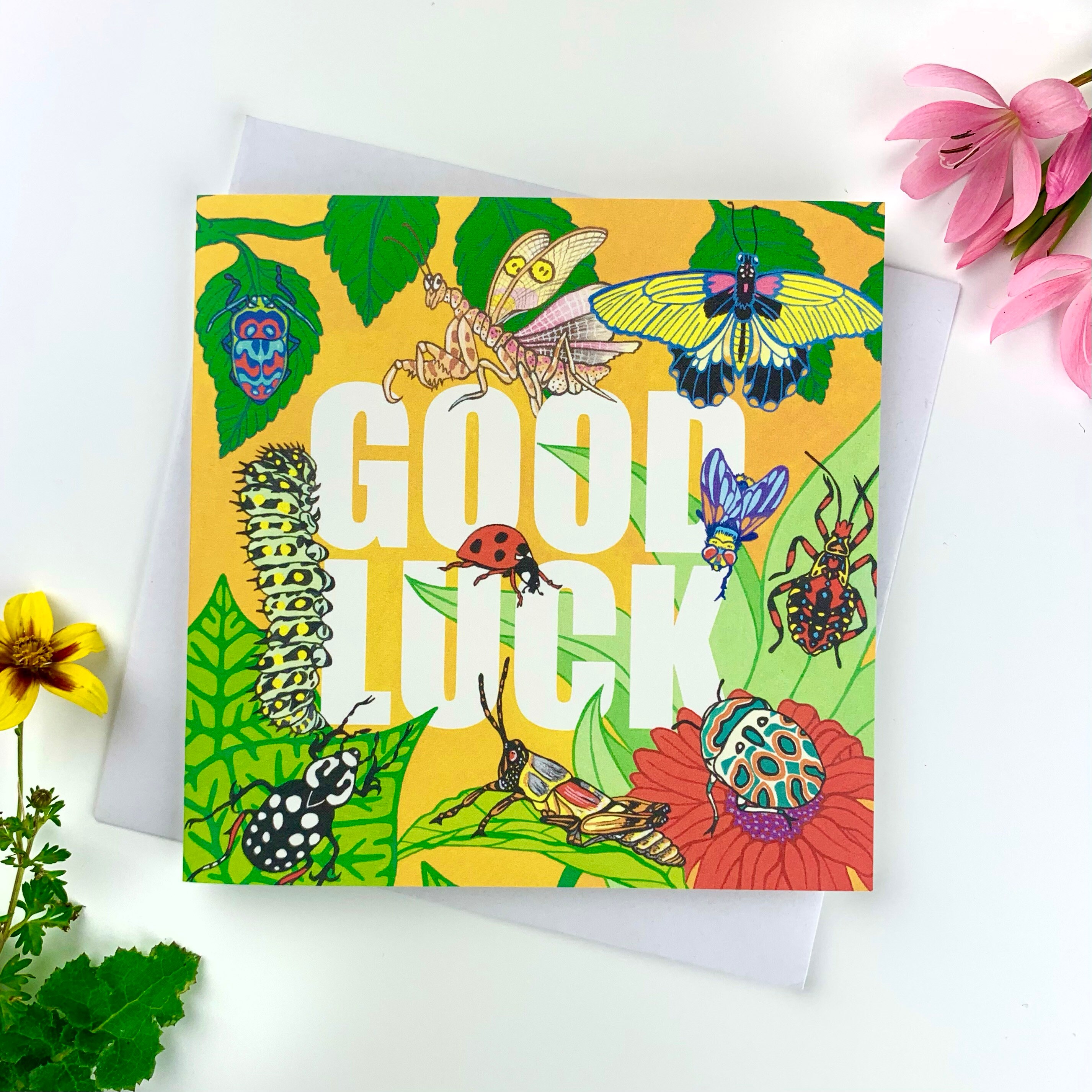 Illustrated Insects Good Luck Card - Etsy