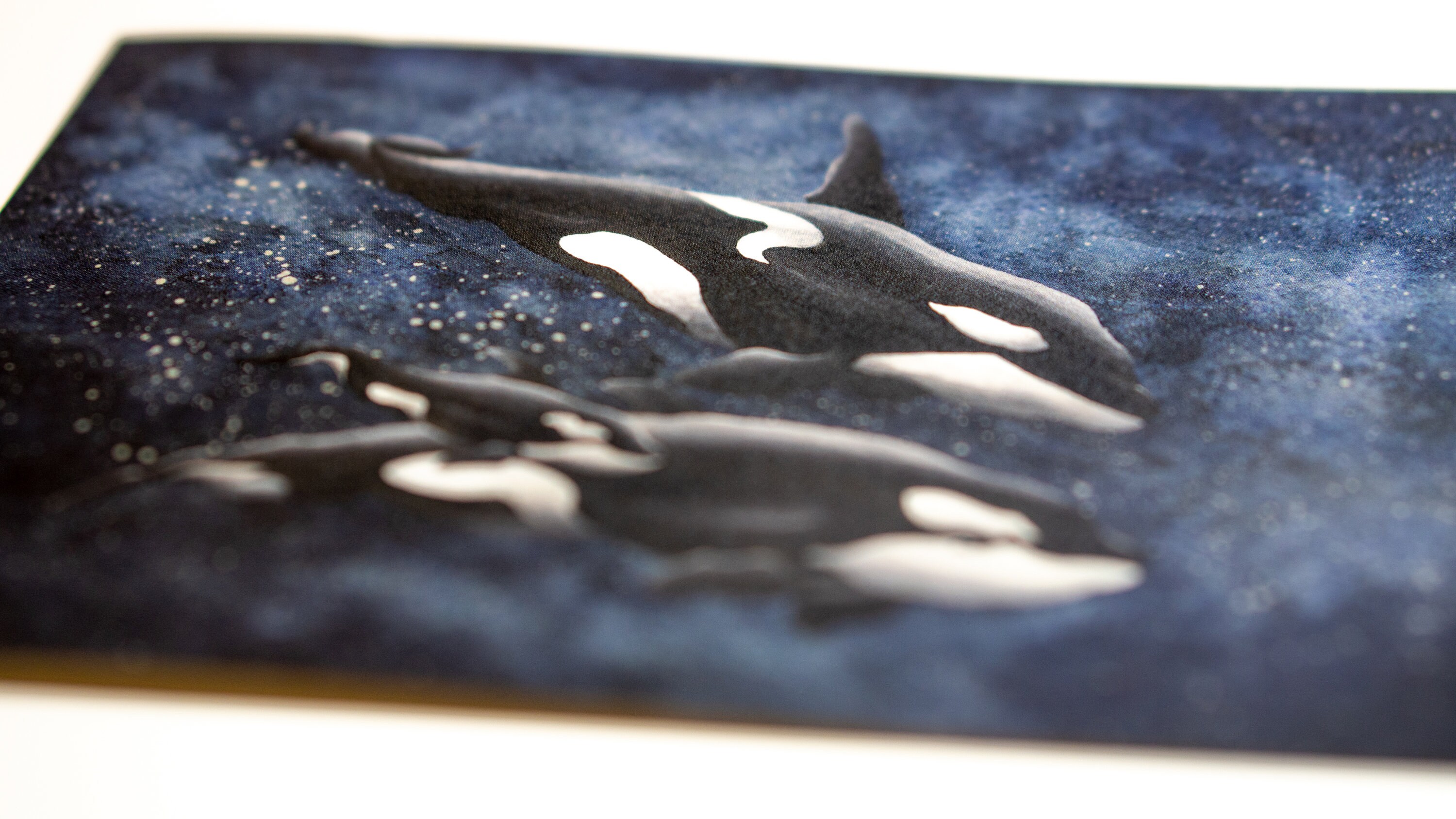 Orca Watercolour Card Landscape - Etsy UK