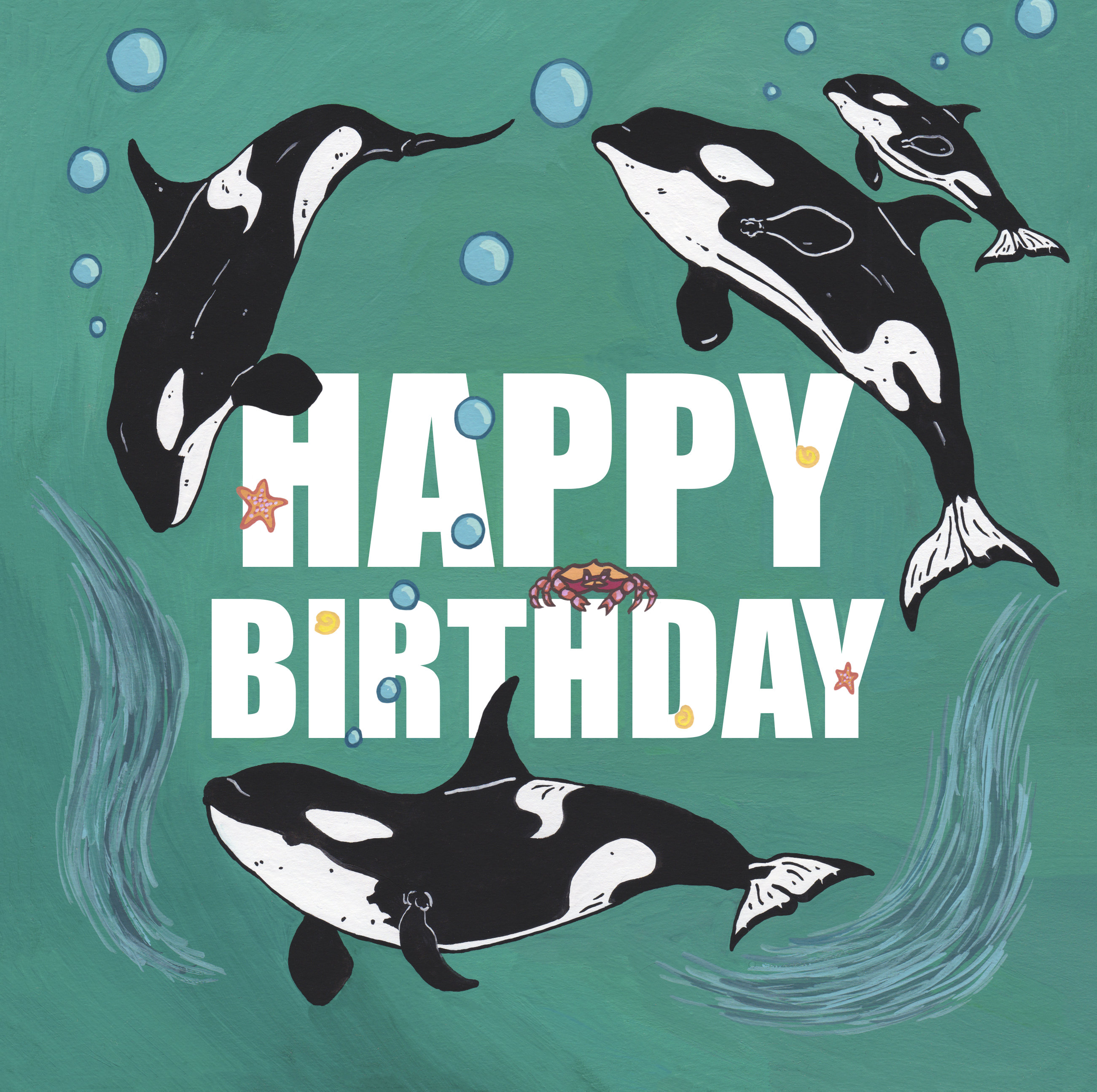 Illustrated Orca Birthday Card for Her for Him - Etsy