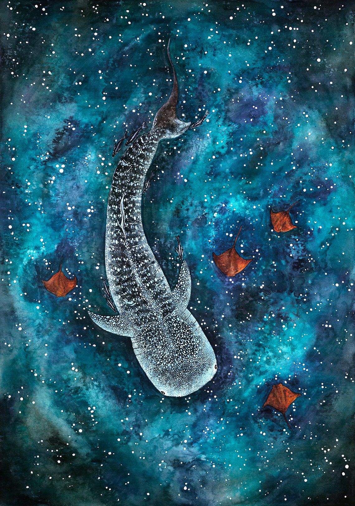 Whale Shark Watercolour Card | Etsy