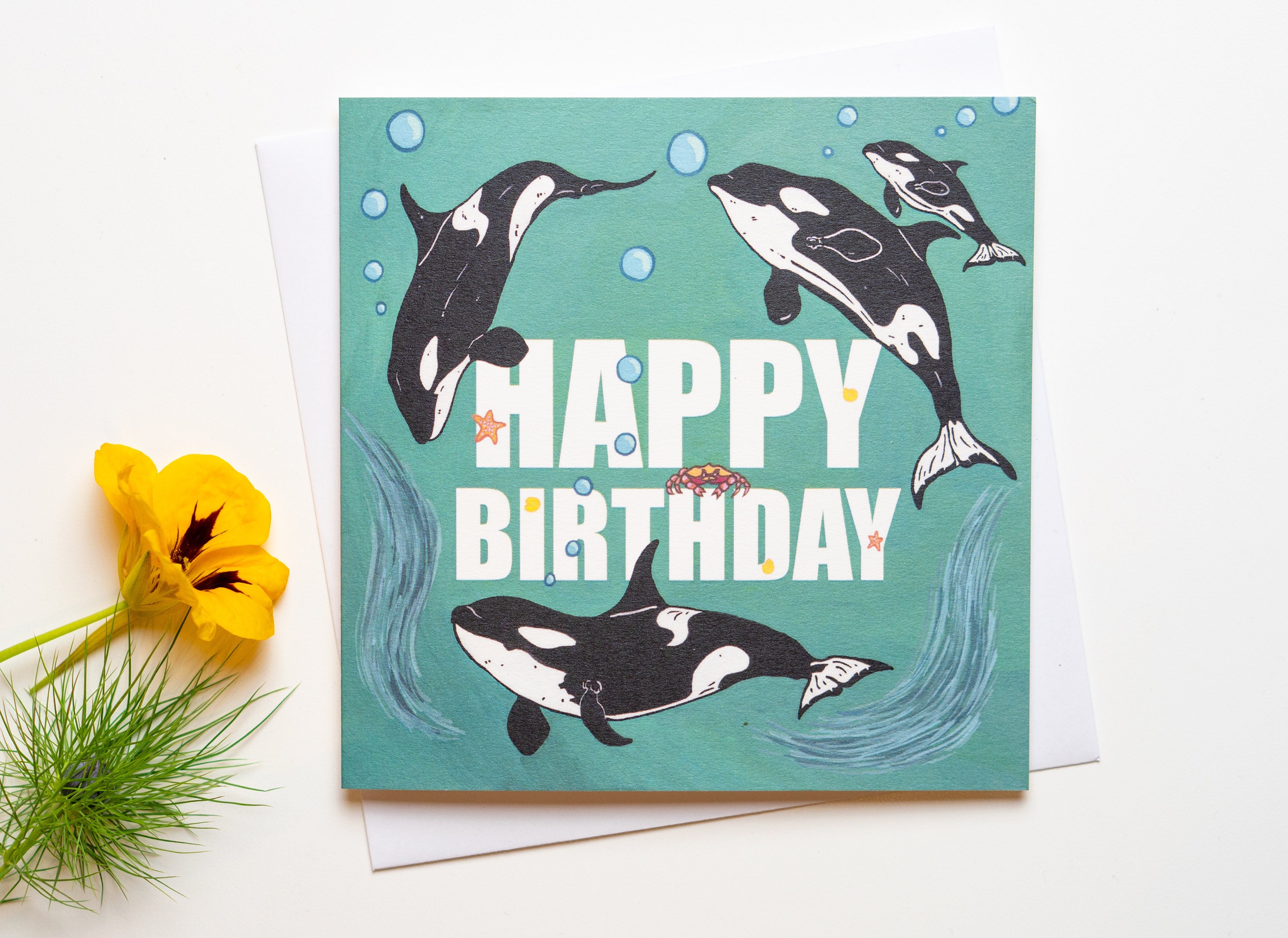 Illustrated Orca Birthday Card for Her for Him - Etsy