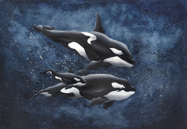 Orca Watercolour Card Landscape - Etsy UK