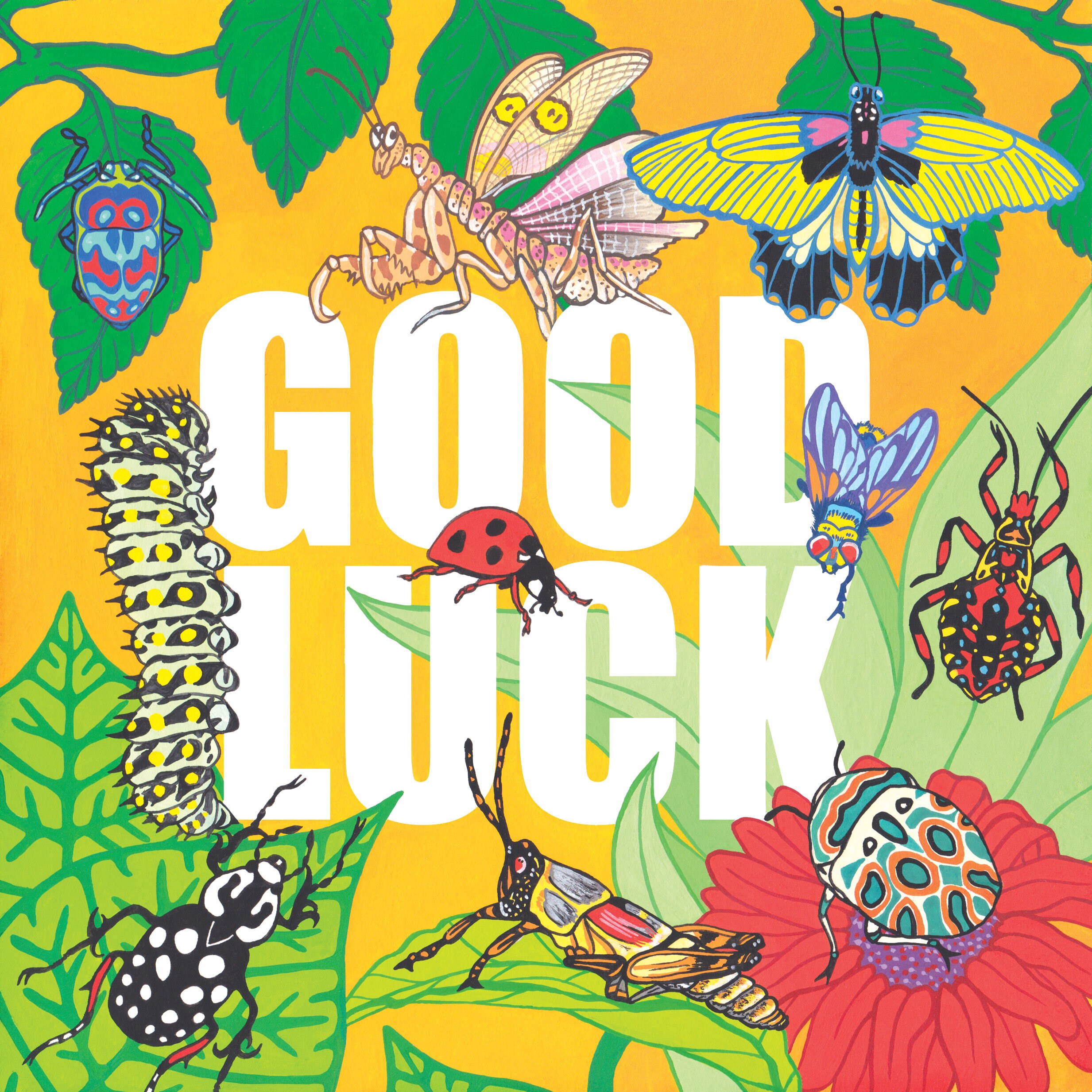 Illustrated Insects Good Luck Card | Etsy
