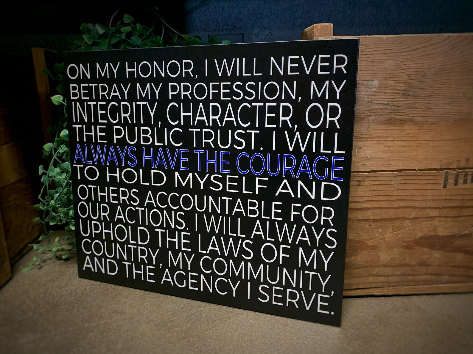 Thin Blue Line Officer's Oath Law Enforcement Police Officer Deputy ...