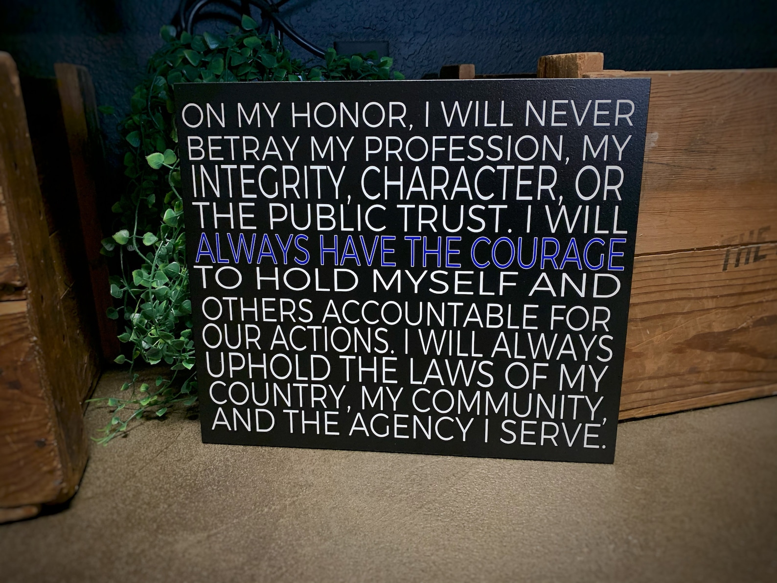 Thin Blue Line Officer's Oath Law Enforcement Police Officer Deputy ...