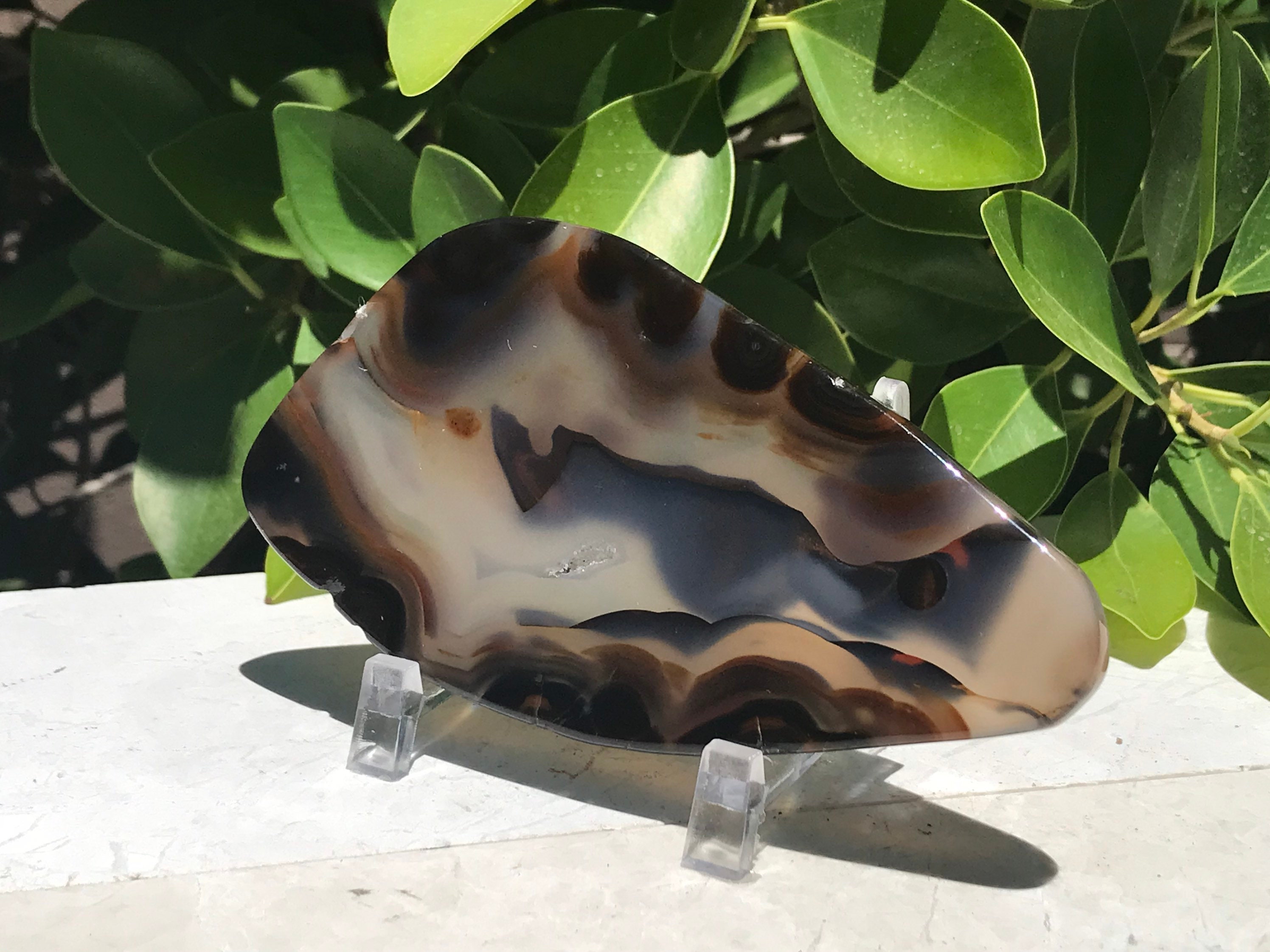 Translucent Agate Slice From Brazil - Etsy