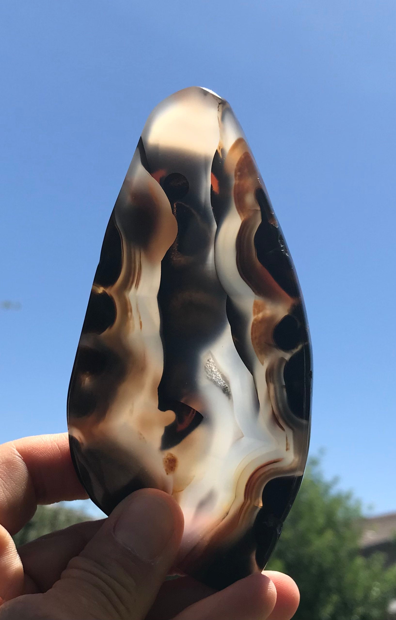 Translucent Agate Slice From Brazil - Etsy