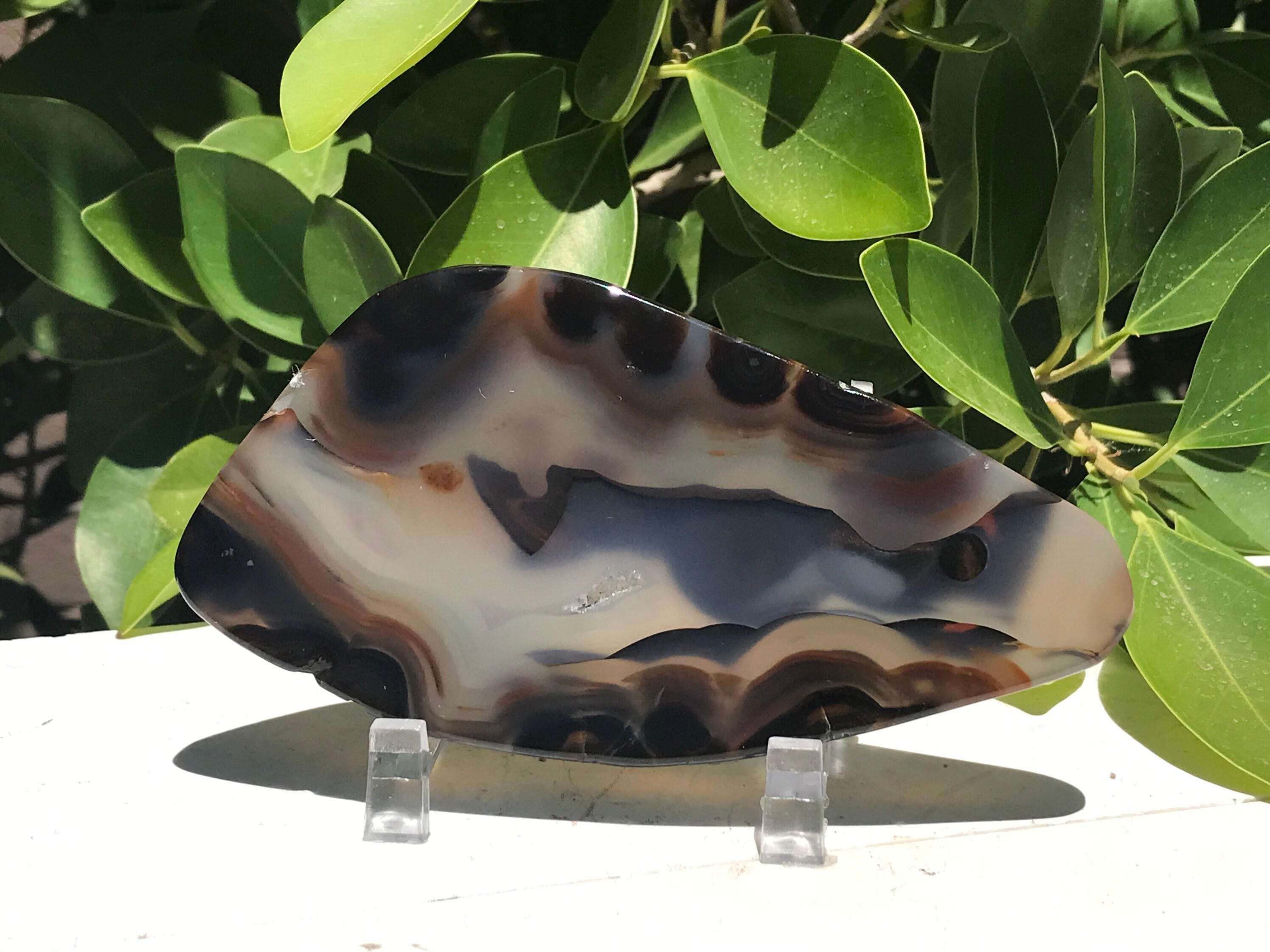 Translucent Agate Slice From Brazil - Etsy